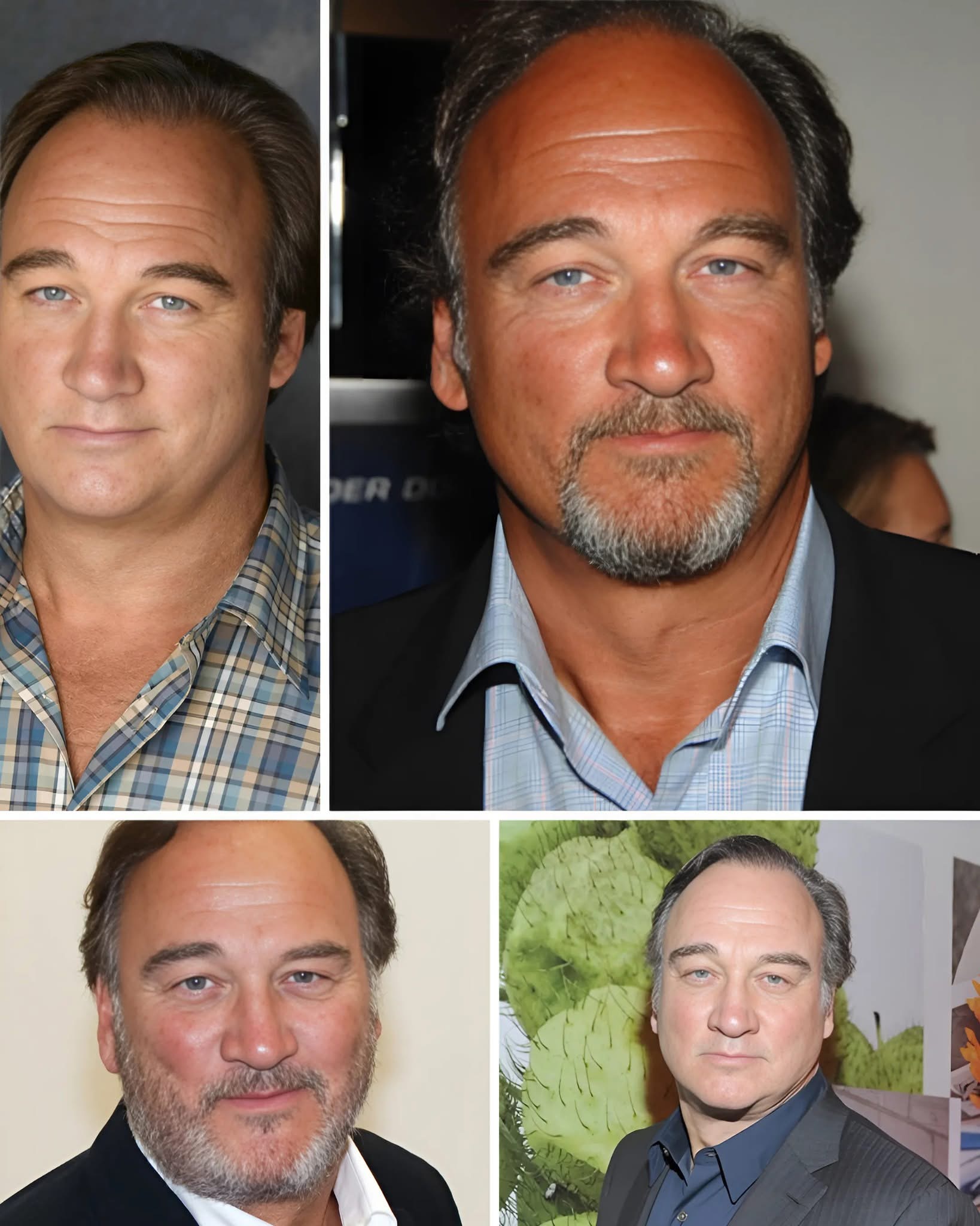 Jim Belushi Makes a Surprising Life Change – What the Legendary Actor ...